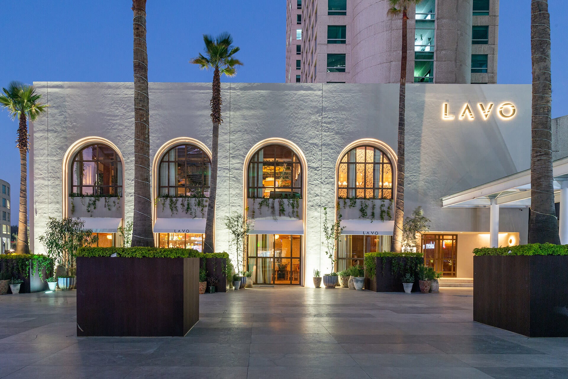 Sitio web oficial de LAVO Ciudad de México