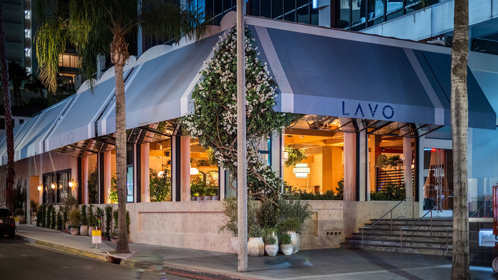 Contact Us | LAVO Los Angeles